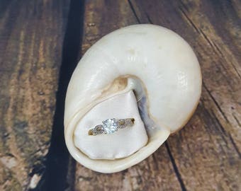 Shell ring box | Etsy