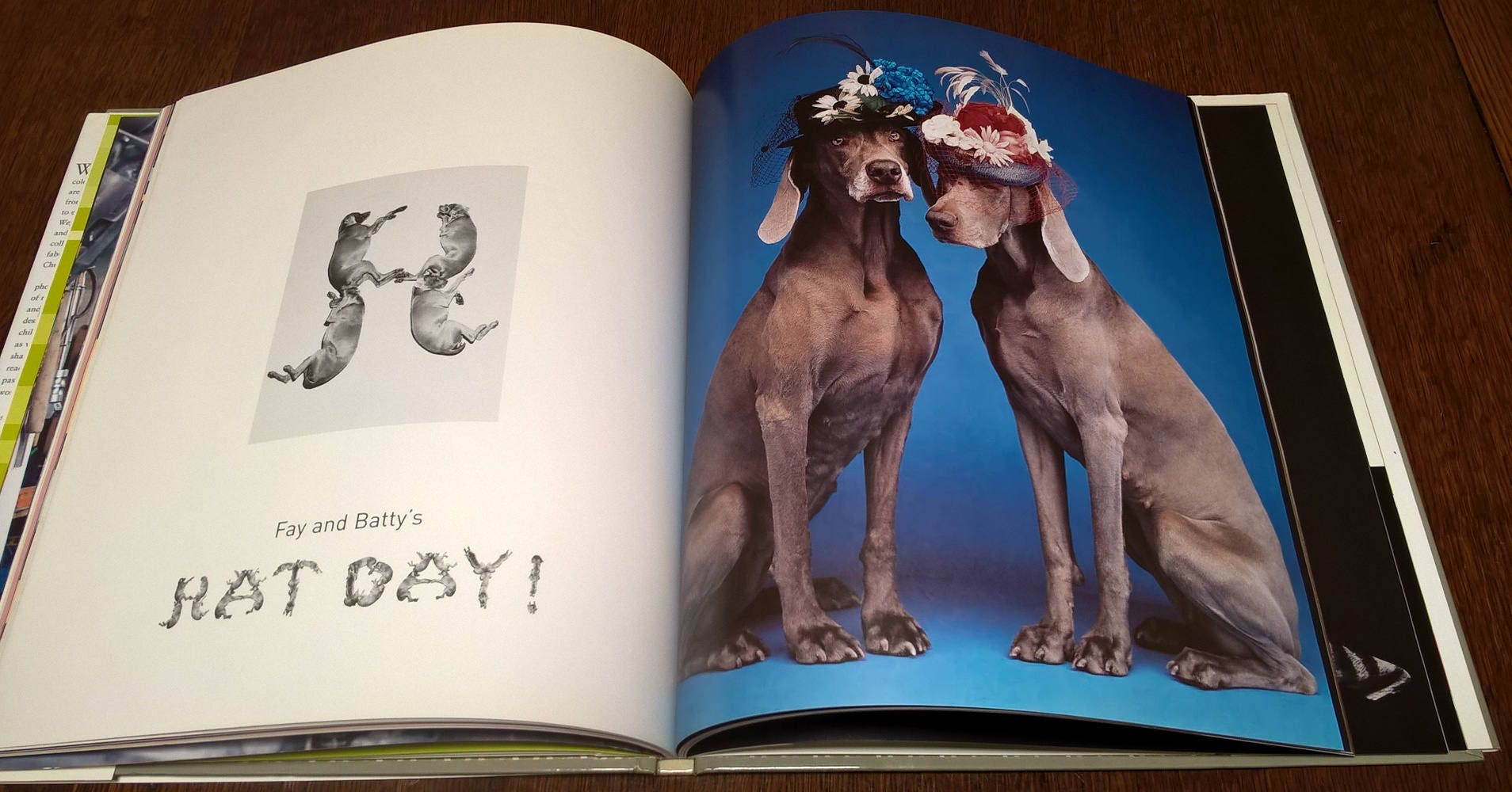 Wegmanology - William Wegman - First Edition Children's Books ...
