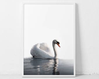 Swan print | Etsy