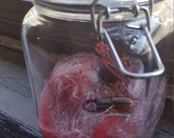 Insect diorama | Etsy