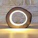 Small LED Log Light Table Lamp Desk Light Real Wooden Log
