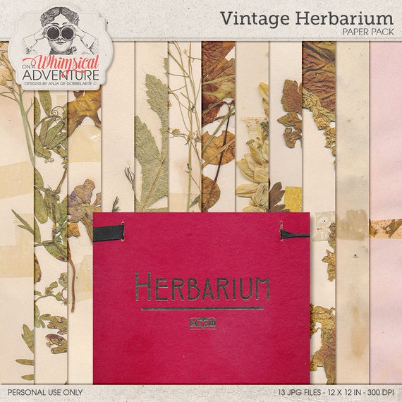 Pressed Plants Herbarium Album Dried Flowers Digital