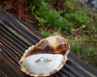 Shell ring box | Etsy