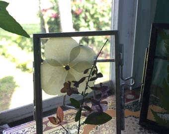 Pressed flower frame | Etsy