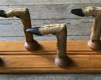 Taxidermy Deer Hoof Foot Feet Gun Rack on Beautifully Finished