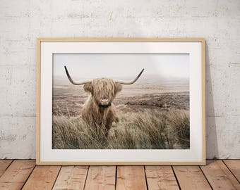 Highland cow print | Etsy