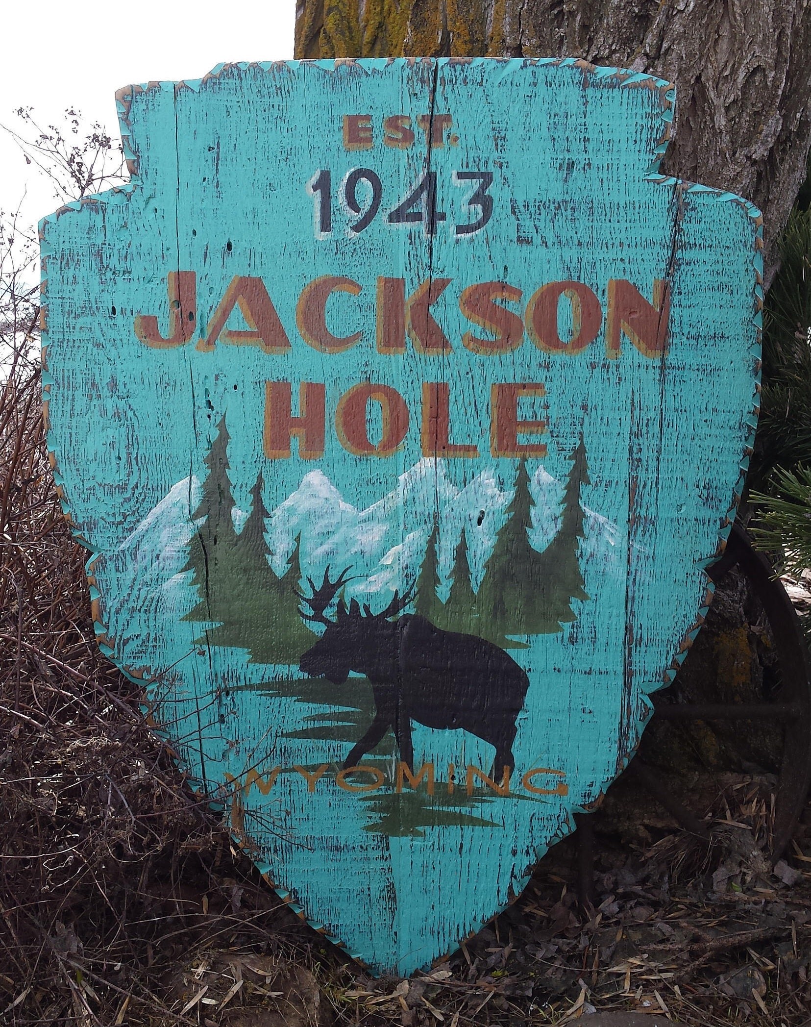 Jackson Hole Wyoming Arrowhead Sign