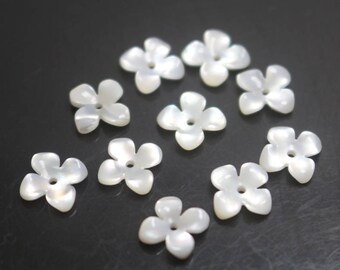 Shell flowers | Etsy