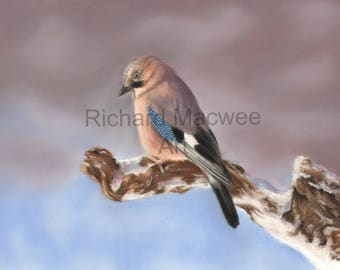 Inspirational Zetti Bird Digital Download