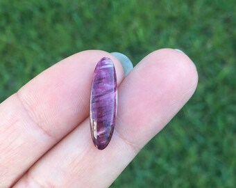 Purple spiny oyster | Etsy