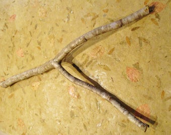Forked stick | Etsy