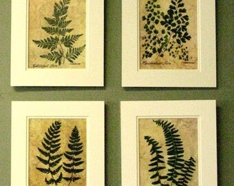 Fern art | Etsy