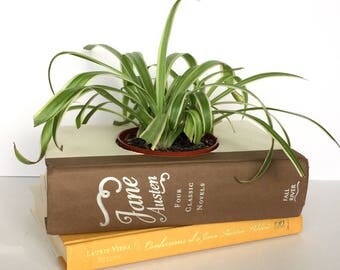 Book planter | Etsy
