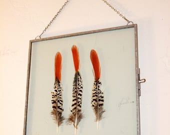 Framed feather art | Etsy