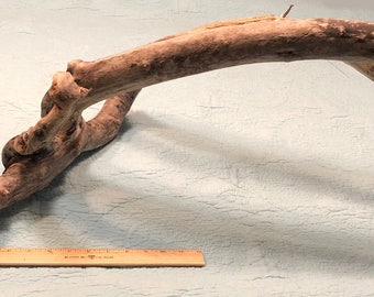 Driftwood branch | Etsy