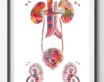 Medical art | Etsy