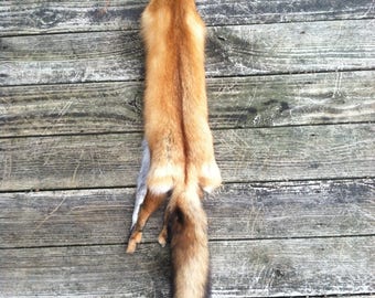 Fox pelt | Etsy