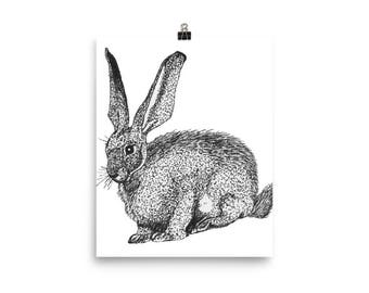 White rabbit print | Etsy