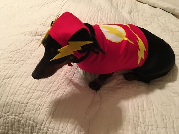 Small Dog / Dachshund The Flash Superhero Costume