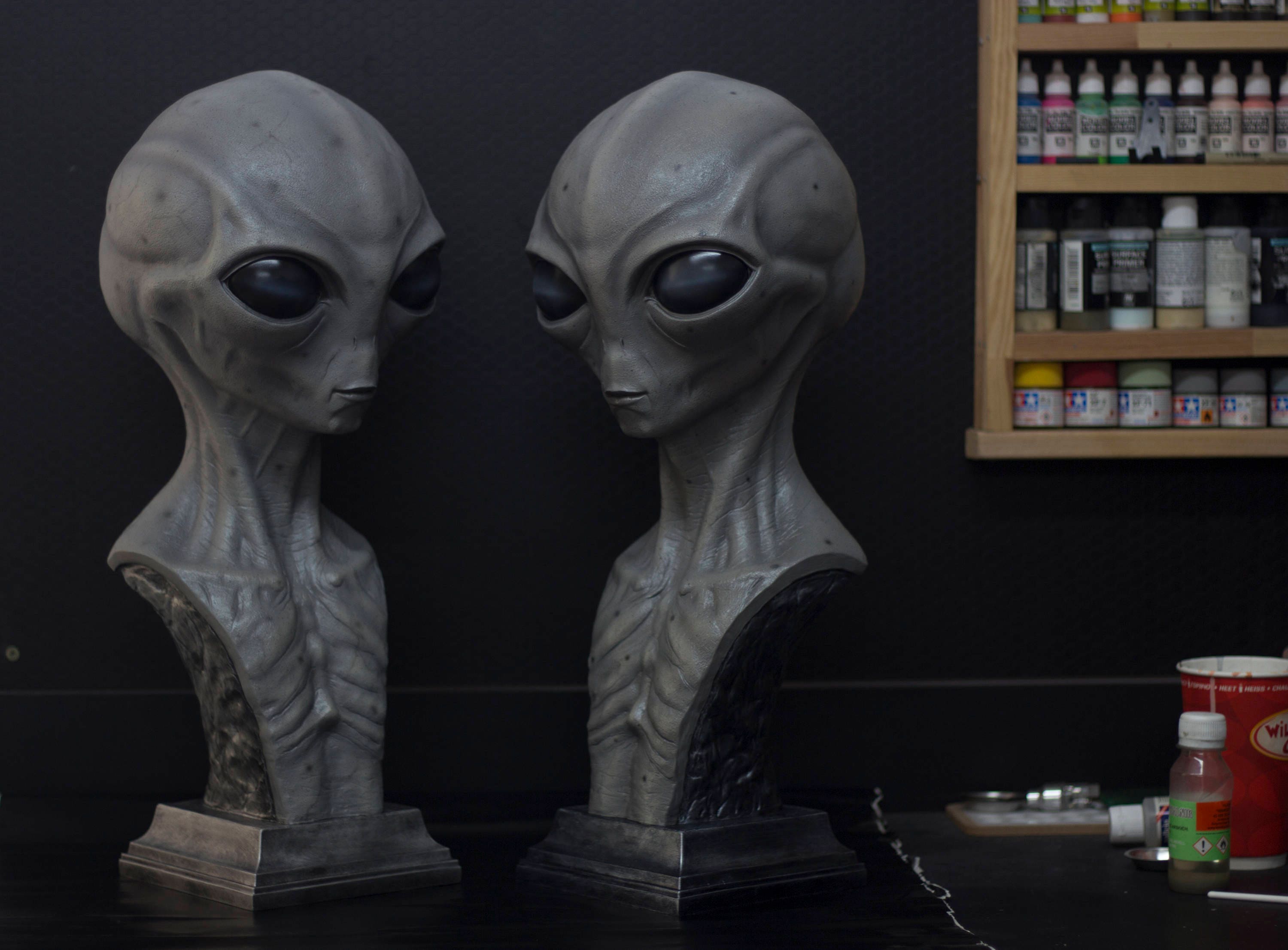 Alien Grey bust life size inspired x files science
