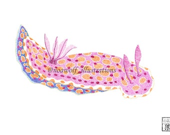 Sea Bunny Slug Plush