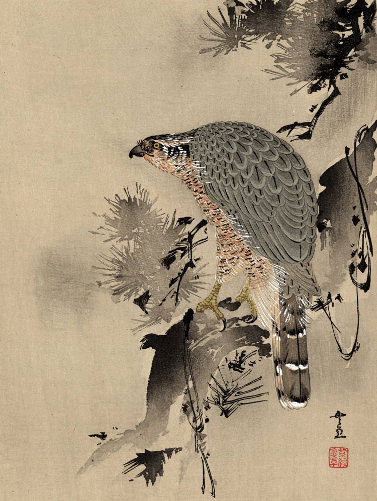 Japanese animals birds art prints A bird-of-prey sitting on