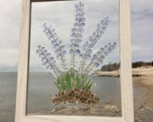 Sea Glass Art by SeabirdDesign on Etsy