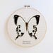 Butterfly cross stitch pattern Blue Mountain butterfly