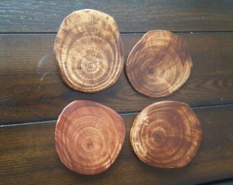 Pine coasters | Etsy