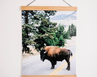 Buffalo poster Buffalo print Buffalo art Yellowstone