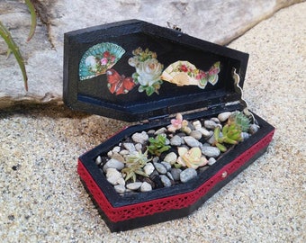 Mini succulents | Etsy