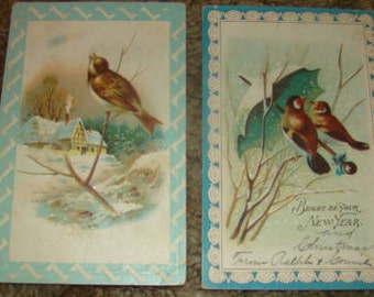 Bird postcards | Etsy