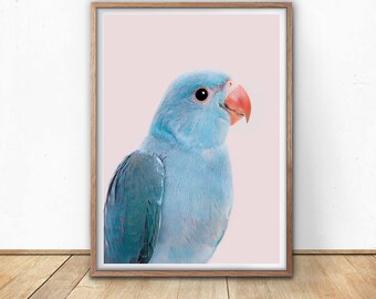 Parrot poster | Etsy
