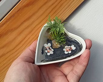 Miniature koi fish | Etsy