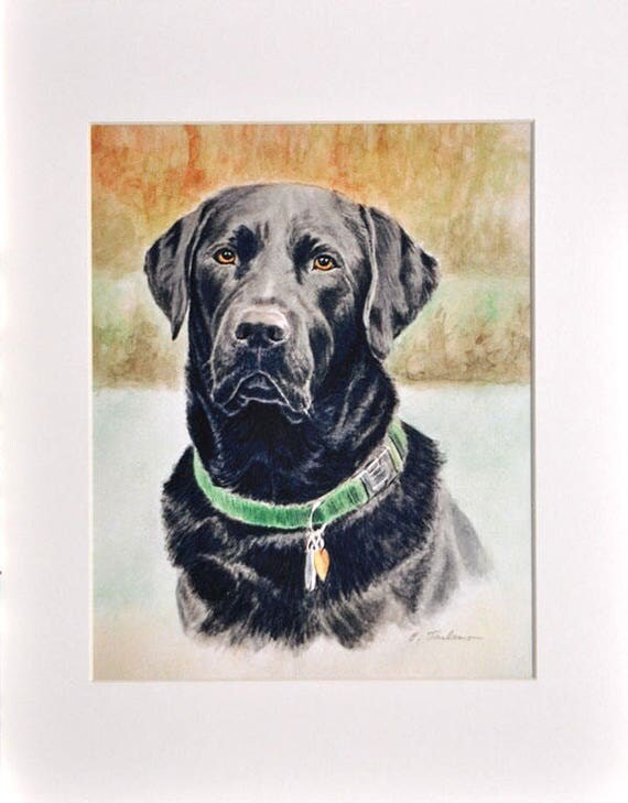 Black Labrador Retriever Art Print Labrador Retriever Art