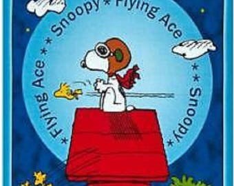 Snoopy Flying Ace birdhouse.