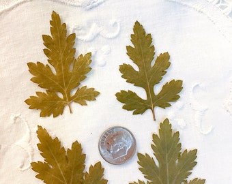 Pressed leaves | Etsy