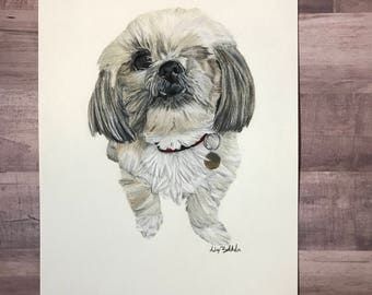 Custom pet drawing | Etsy