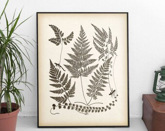 Fern Wall Decal Large Leaf Decals Vinyl Wall Decal Leaves