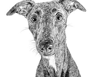 Whippet drawing | Etsy