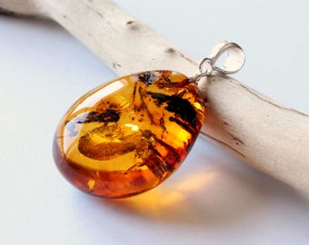 Amber jewelry | Etsy