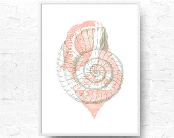 Seashell art | Etsy
