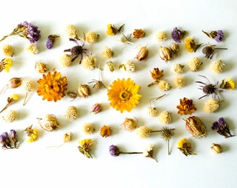 Mini dried flowers | Etsy