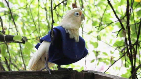 Parrot Clothes for Birds that Pluck