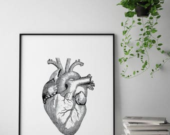 Heart Human Anatomy Butterfly Anatomical Heart Print on