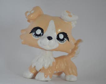 Border collie | Etsy