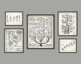 Evolution wall art | Etsy