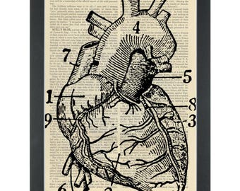 Vintage Medical Illustration Wound Man Antique