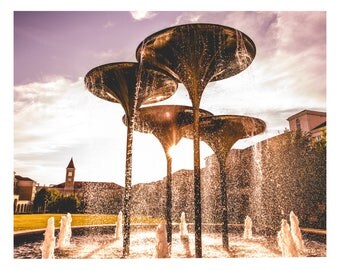 Frog Fountain Texas Christian University