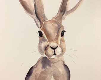 Cottontail rabbit | Etsy